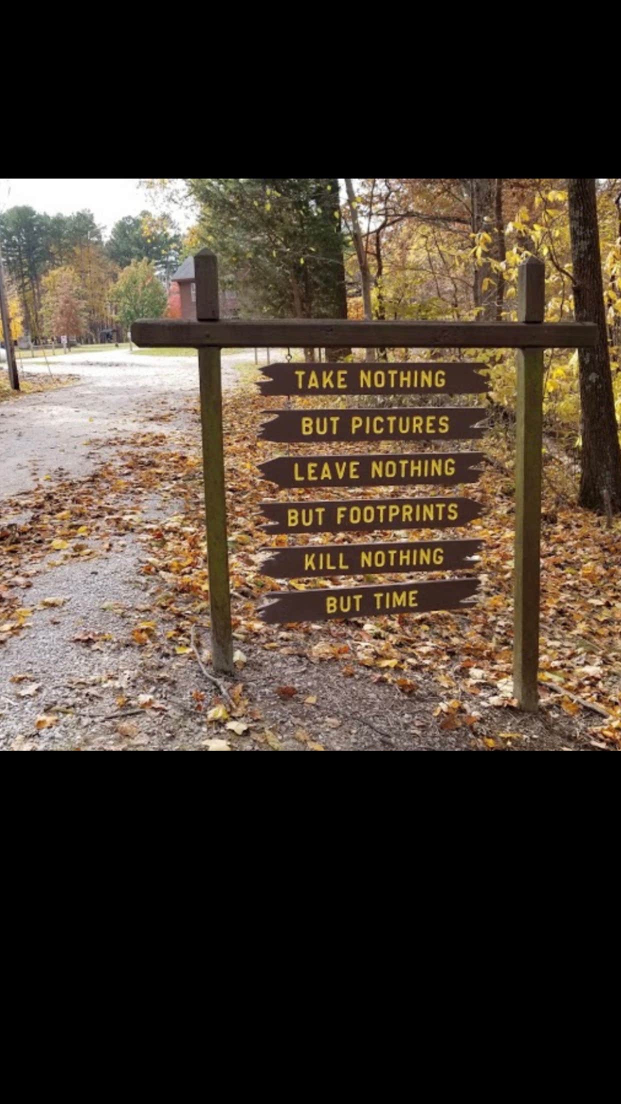 Ransburg Scout Reservation Camping | Harrodsburg, IN