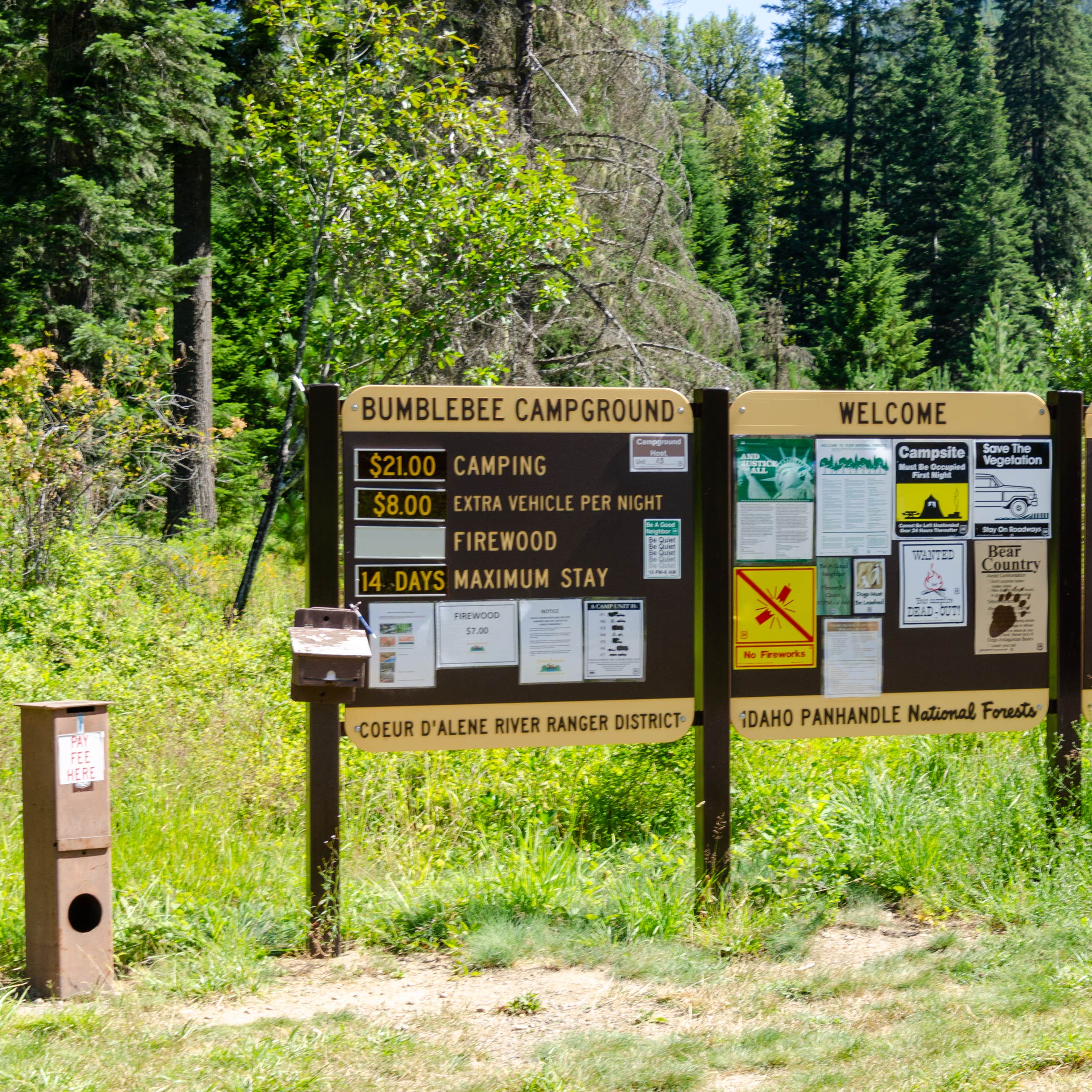 Bumblebee Campground Camping | The Dyrt