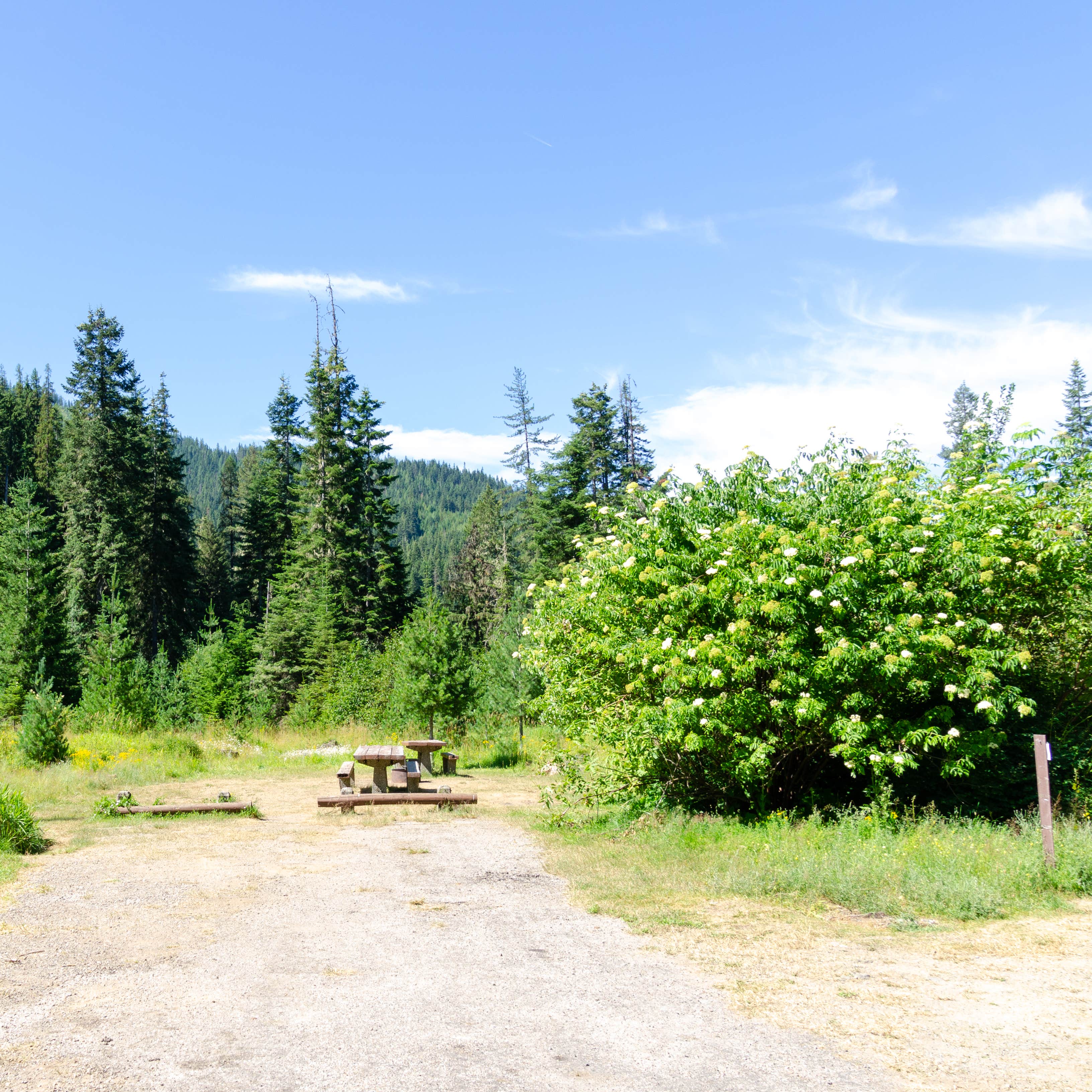 Bumblebee Campground Camping | The Dyrt