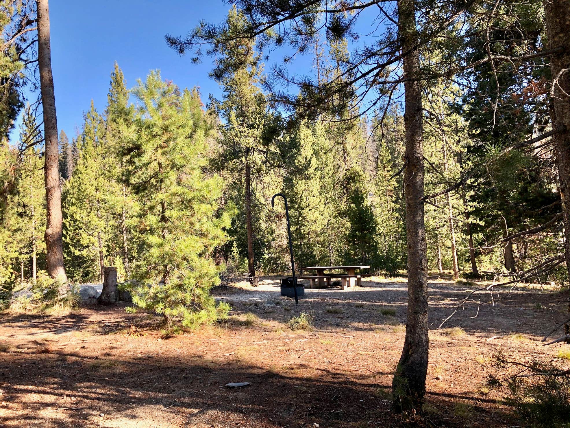 Edna Creek Camping | The Dyrt