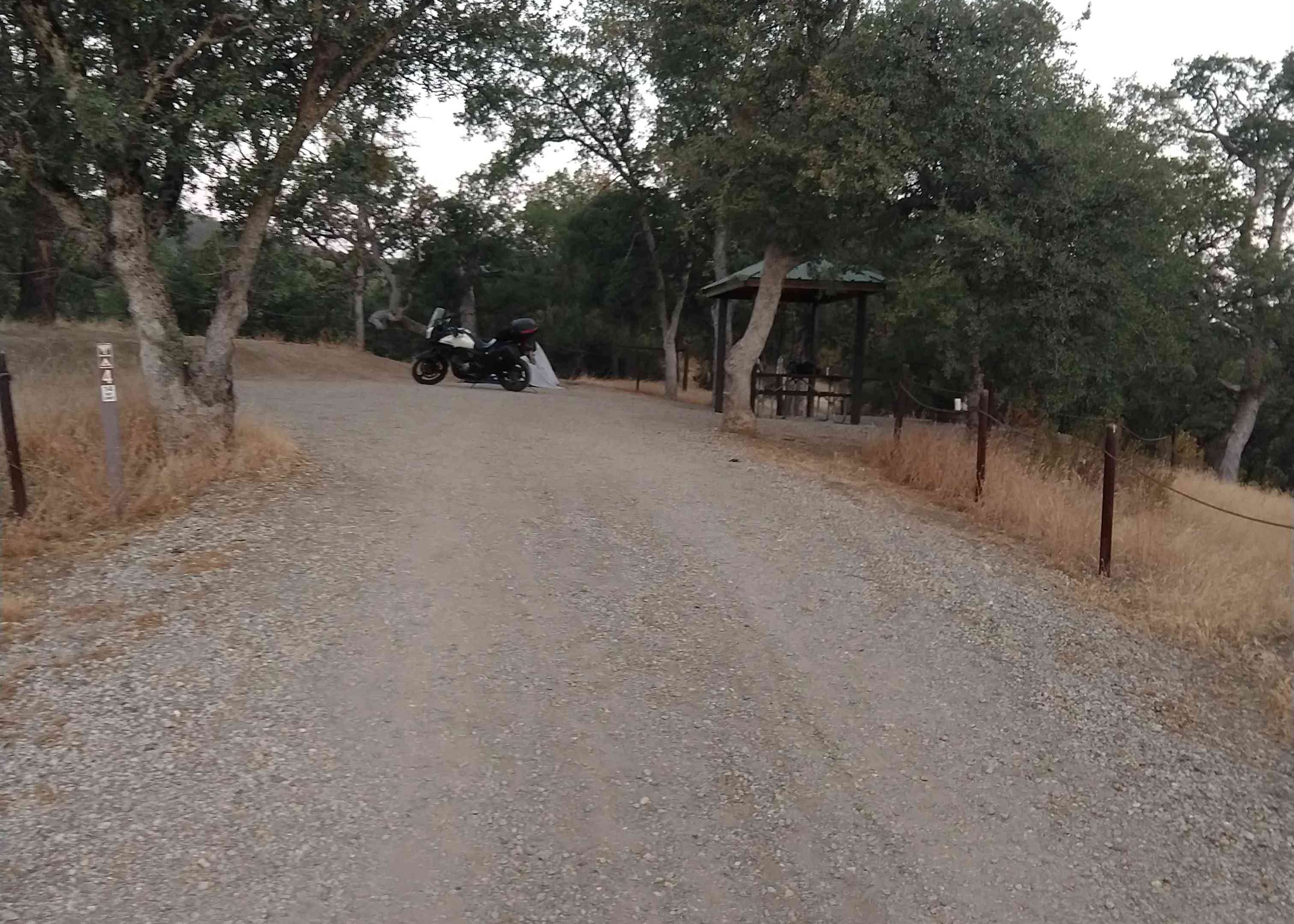 Condon Peak Campground Camping | The Dyrt