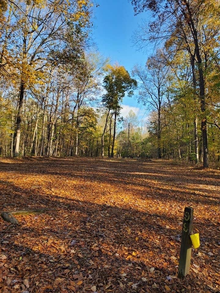 Barren River Lake State Park | The Dyrt