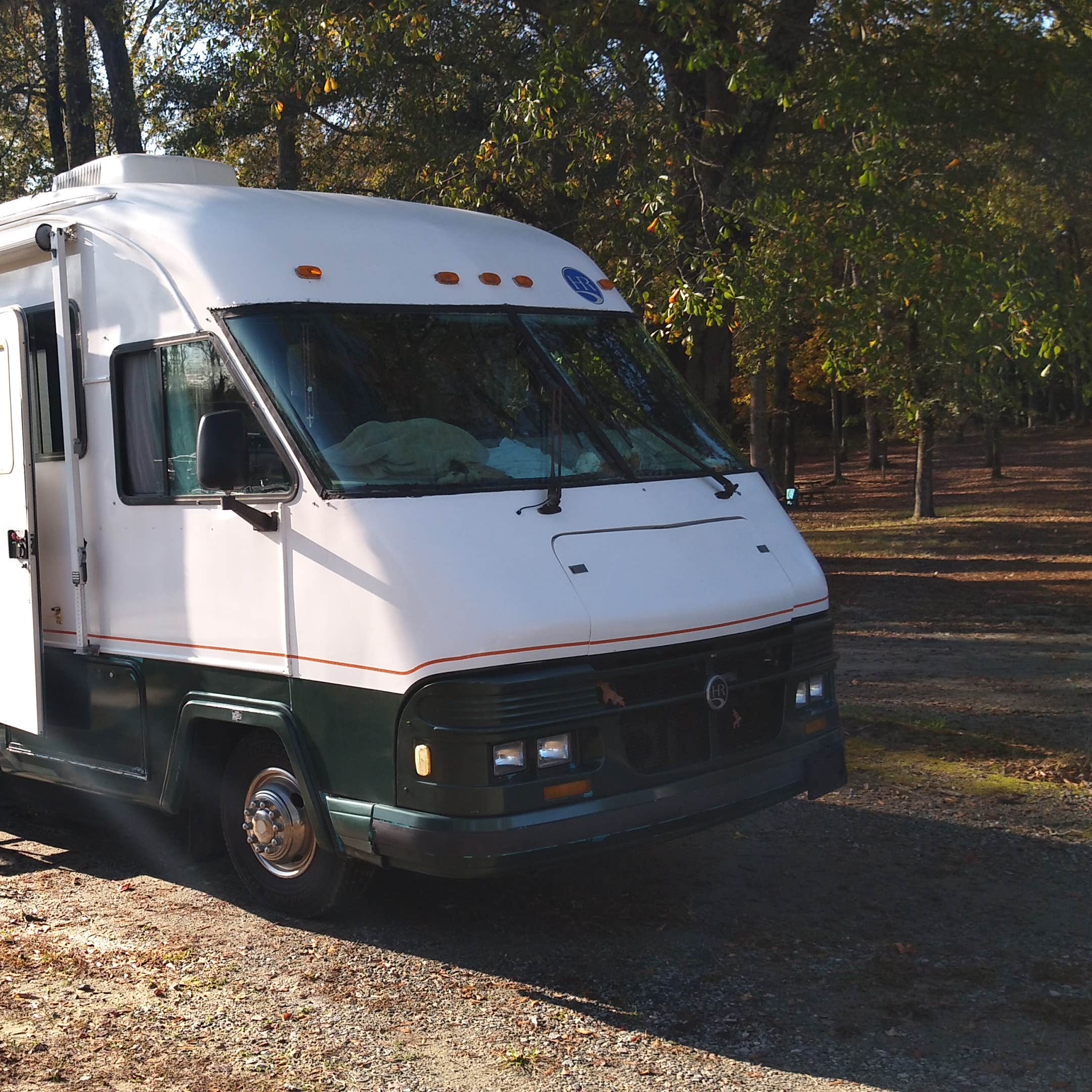 South Forty RV Resort & Campground Camping | The Dyrt