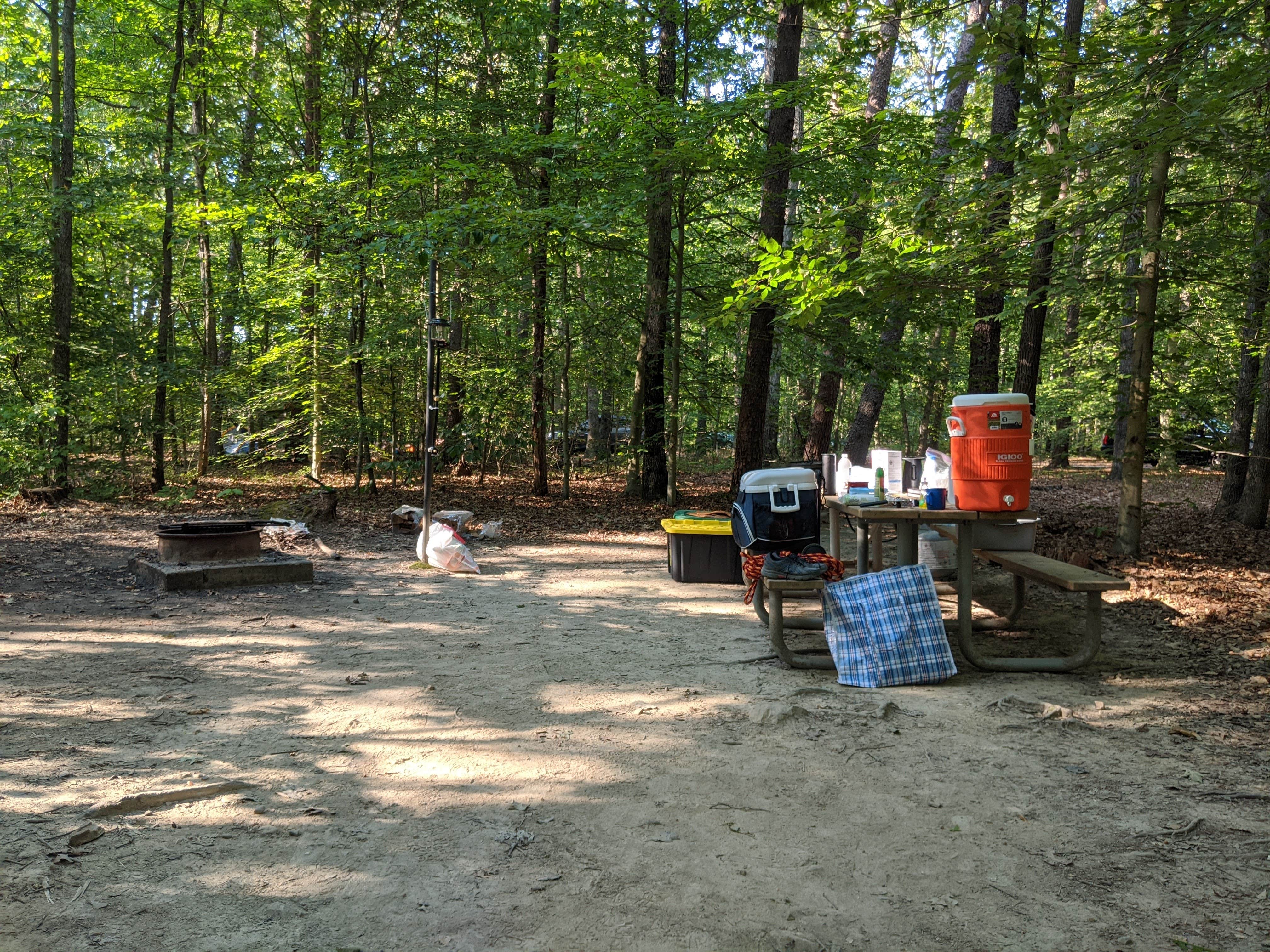 Prince William Forest Park/Oak Ridge Campground | The Dyrt