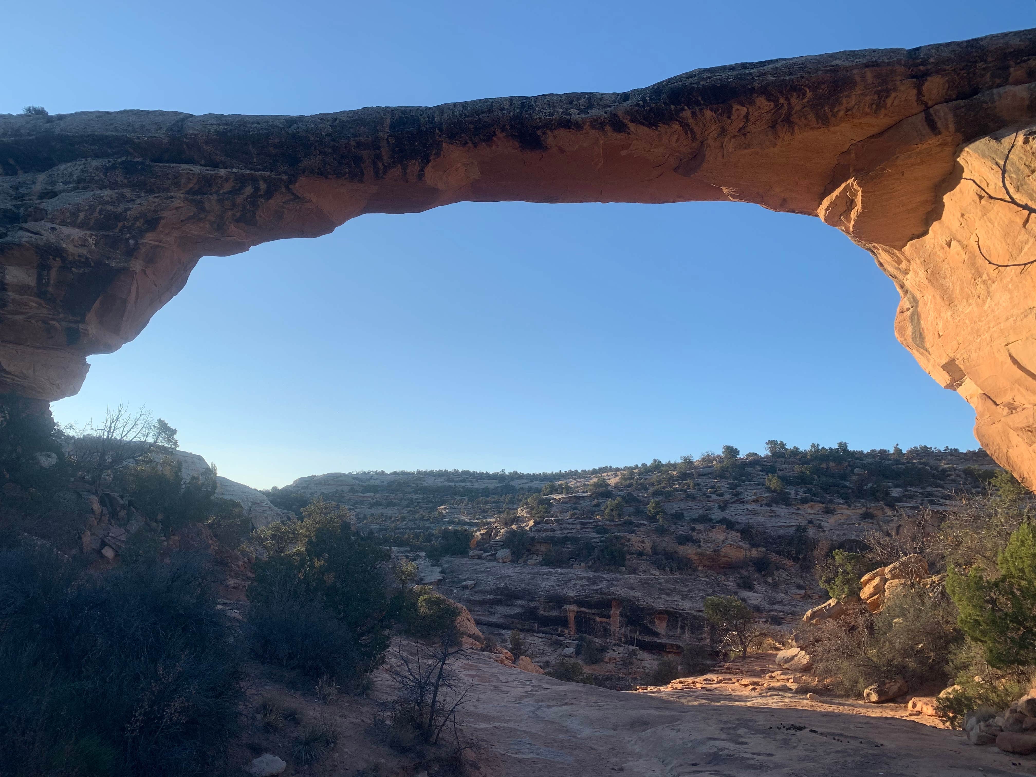 Natural Bridges Campground | The Dyrt