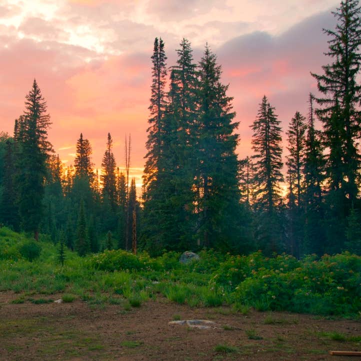 Buffalo Pass Dispersed Camping | The Dyrt