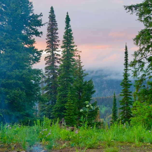Buffalo Pass Dispersed Camping | The Dyrt