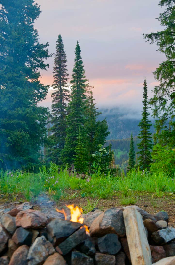 Buffalo Pass Dispersed Camping | The Dyrt