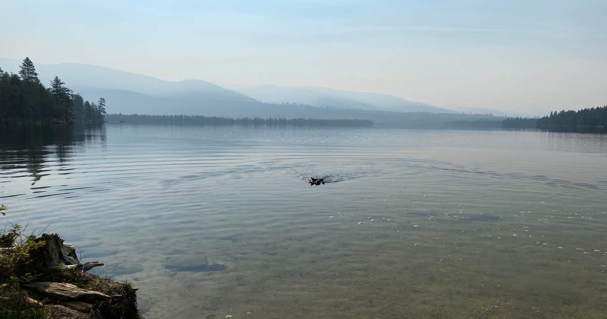 Camper-Submitted Photos of Warm Lake