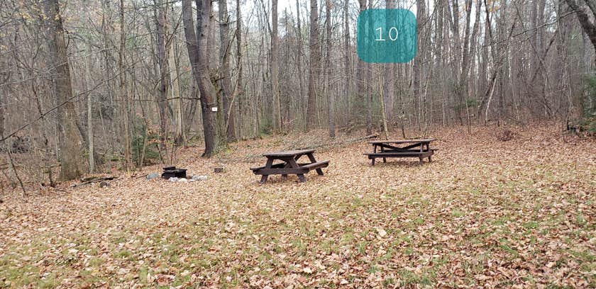 Federated Womens Club State Forest Camping | Petersham, MA