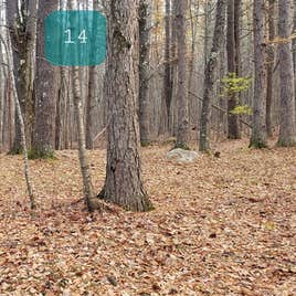 Federated Womens Club State Forest Camping | Petersham, Massachusetts