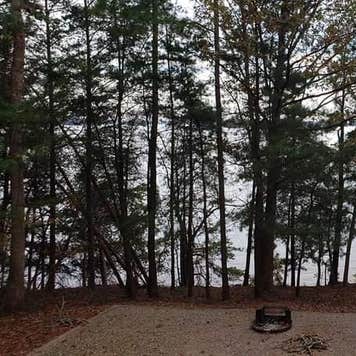 Shady Grove Campground Camping | The Dyrt