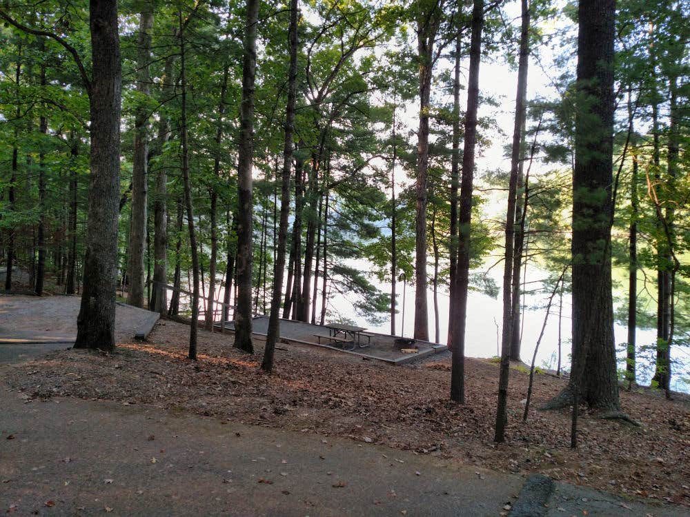 Horseshoe Point | The Dyrt