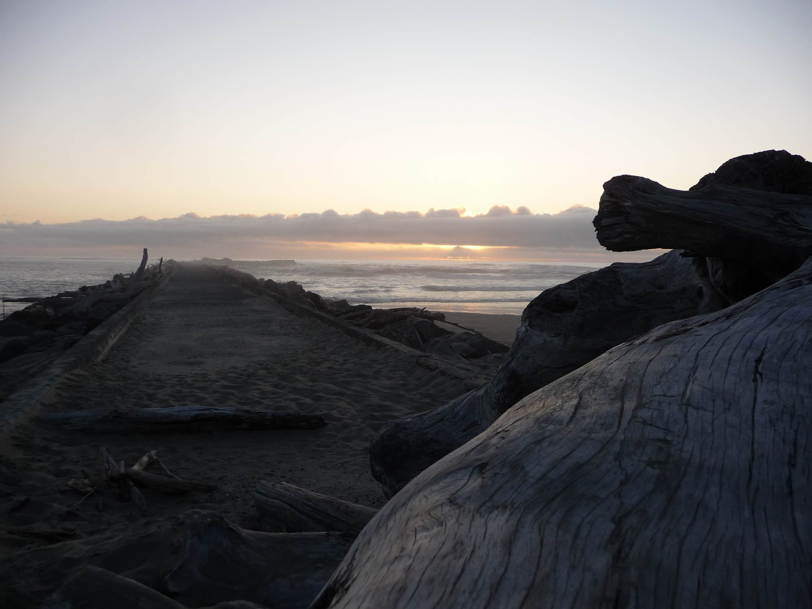 Bullards Beach State Park Camping | The Dyrt