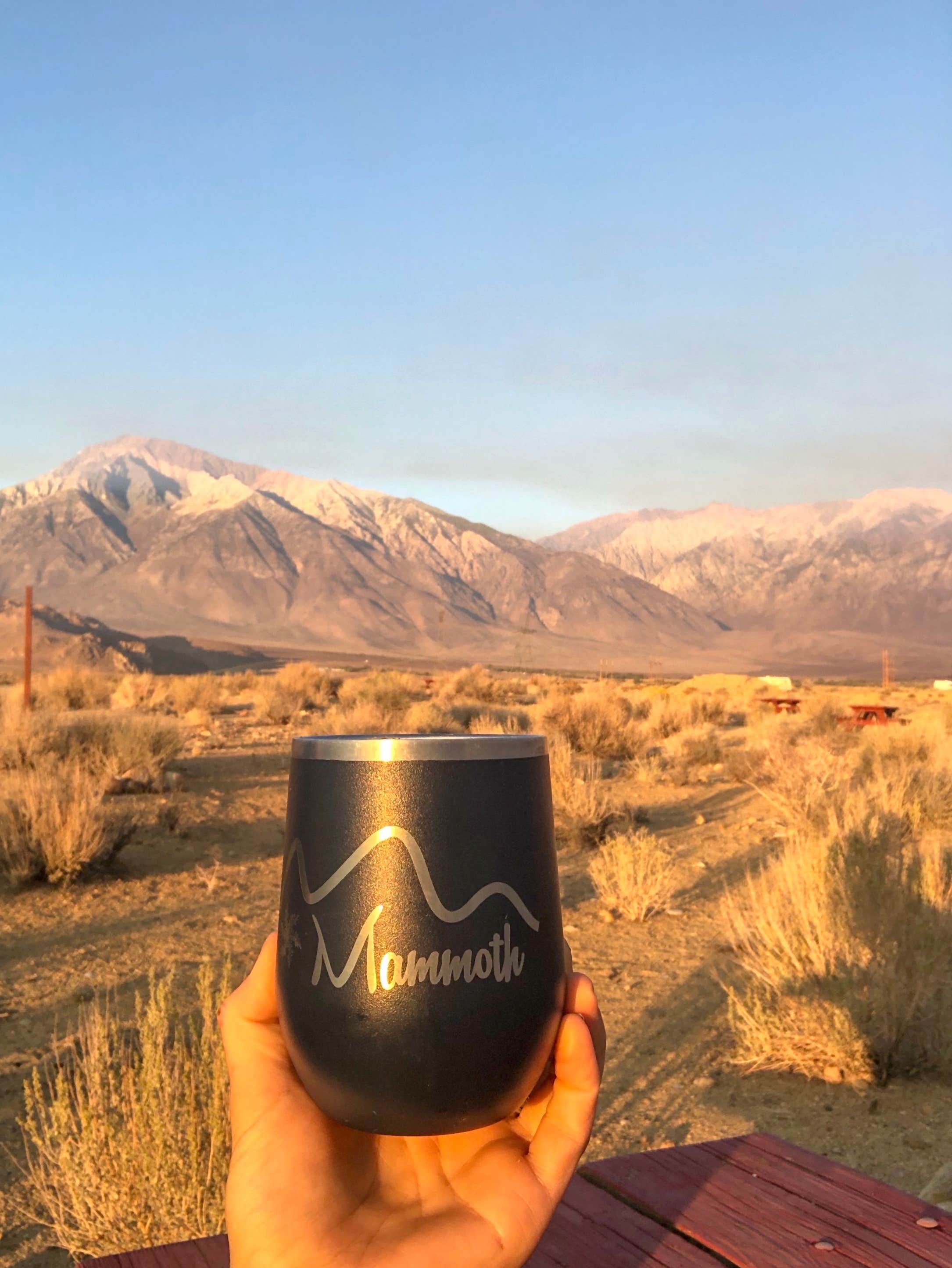 Pleasant Valley Pit Campground | Bishop, CA