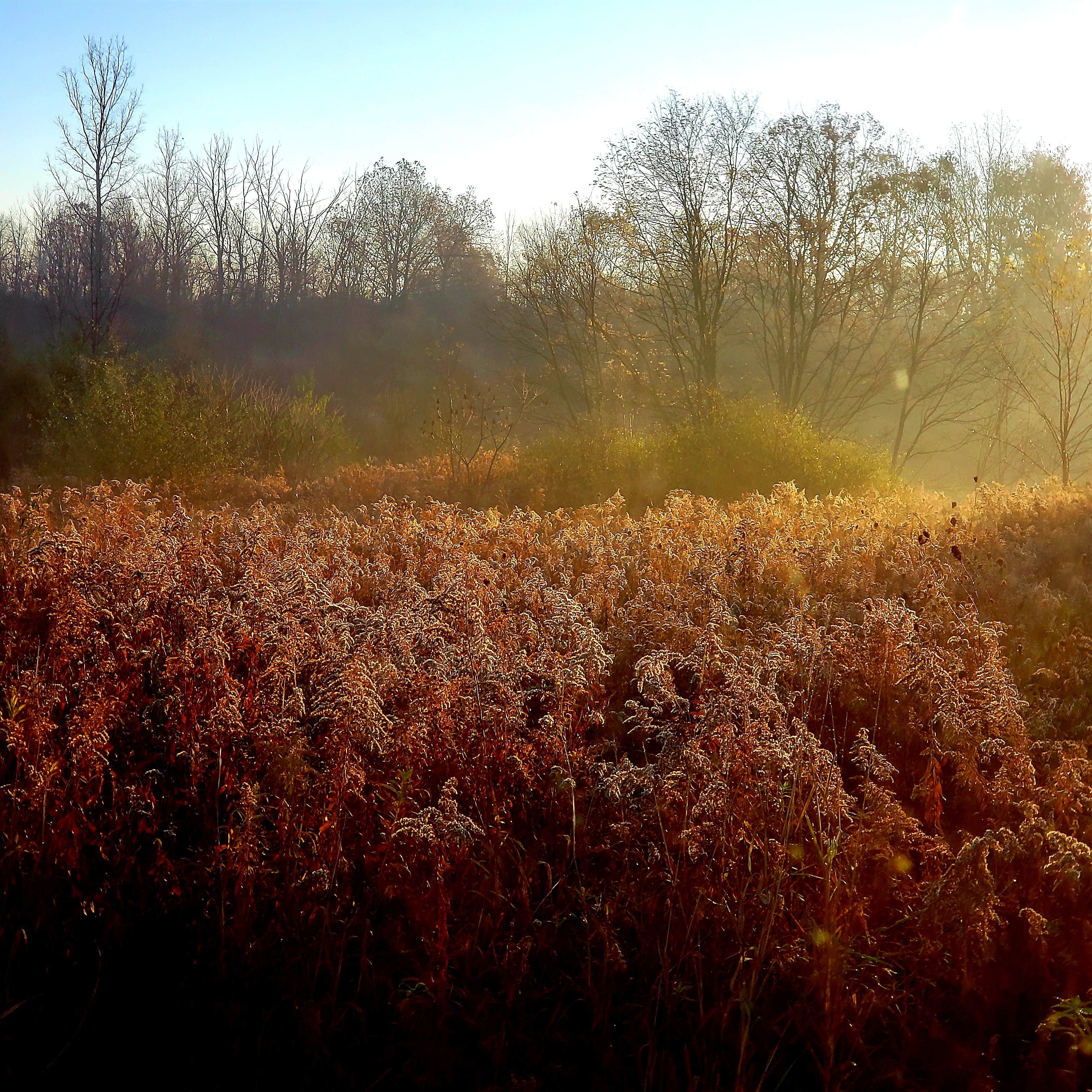 Lake Hudson State Recreation Area | The Dyrt