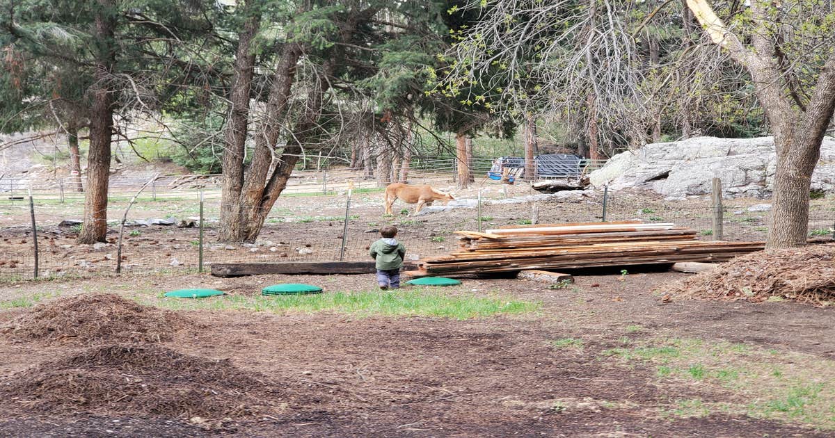 Blue Spruce RV Park & Cabins | Bayfield, CO