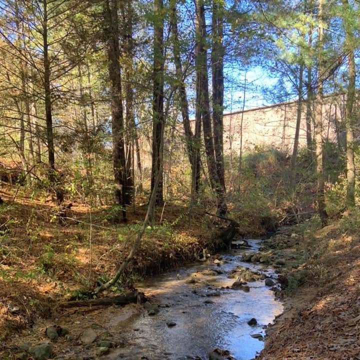 Rutledge Lake RV Resort Camping | The Dyrt