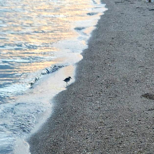 Magnolia Beach Camping | The Dyrt