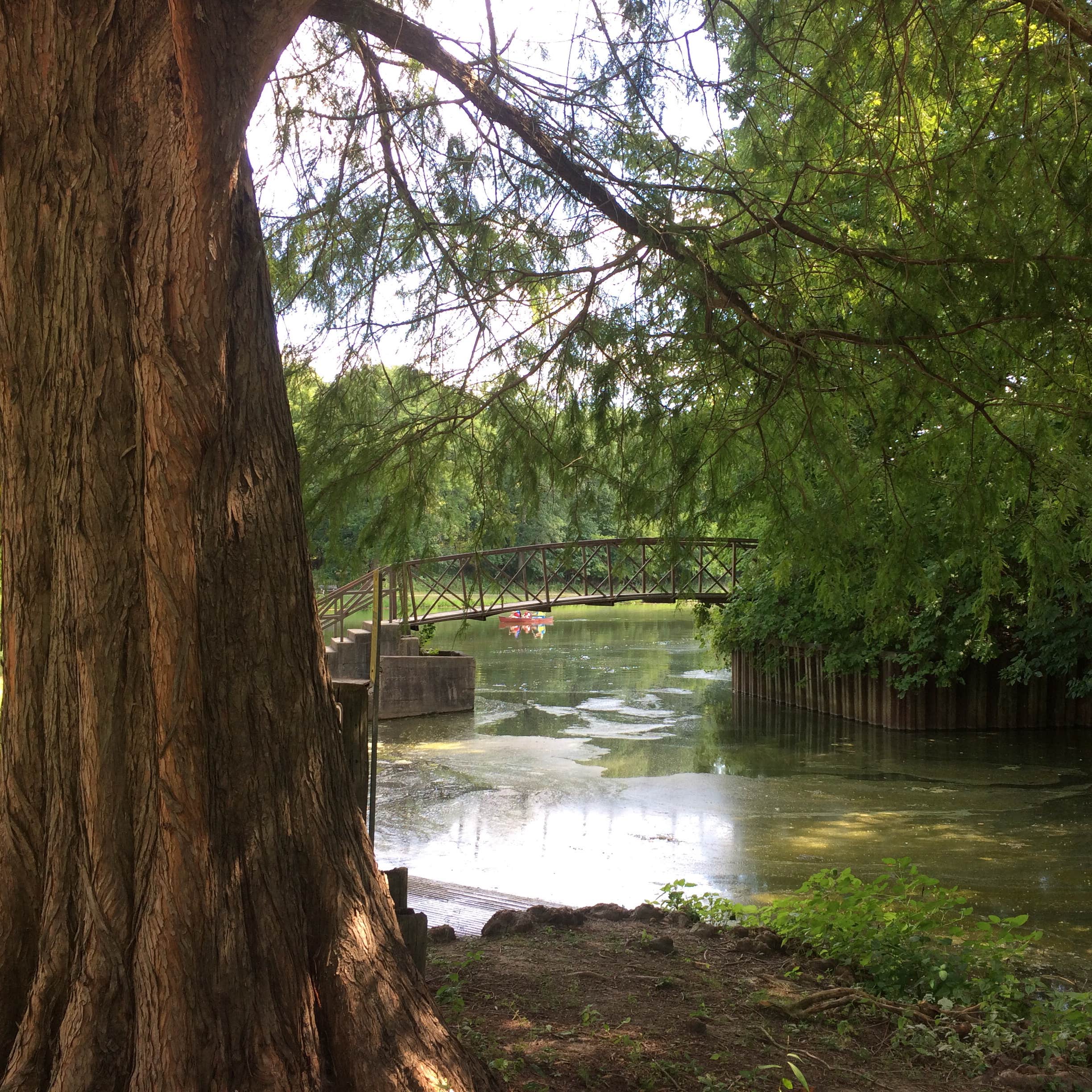 Weldon Springs State Park Campground | Clinton, Illinois