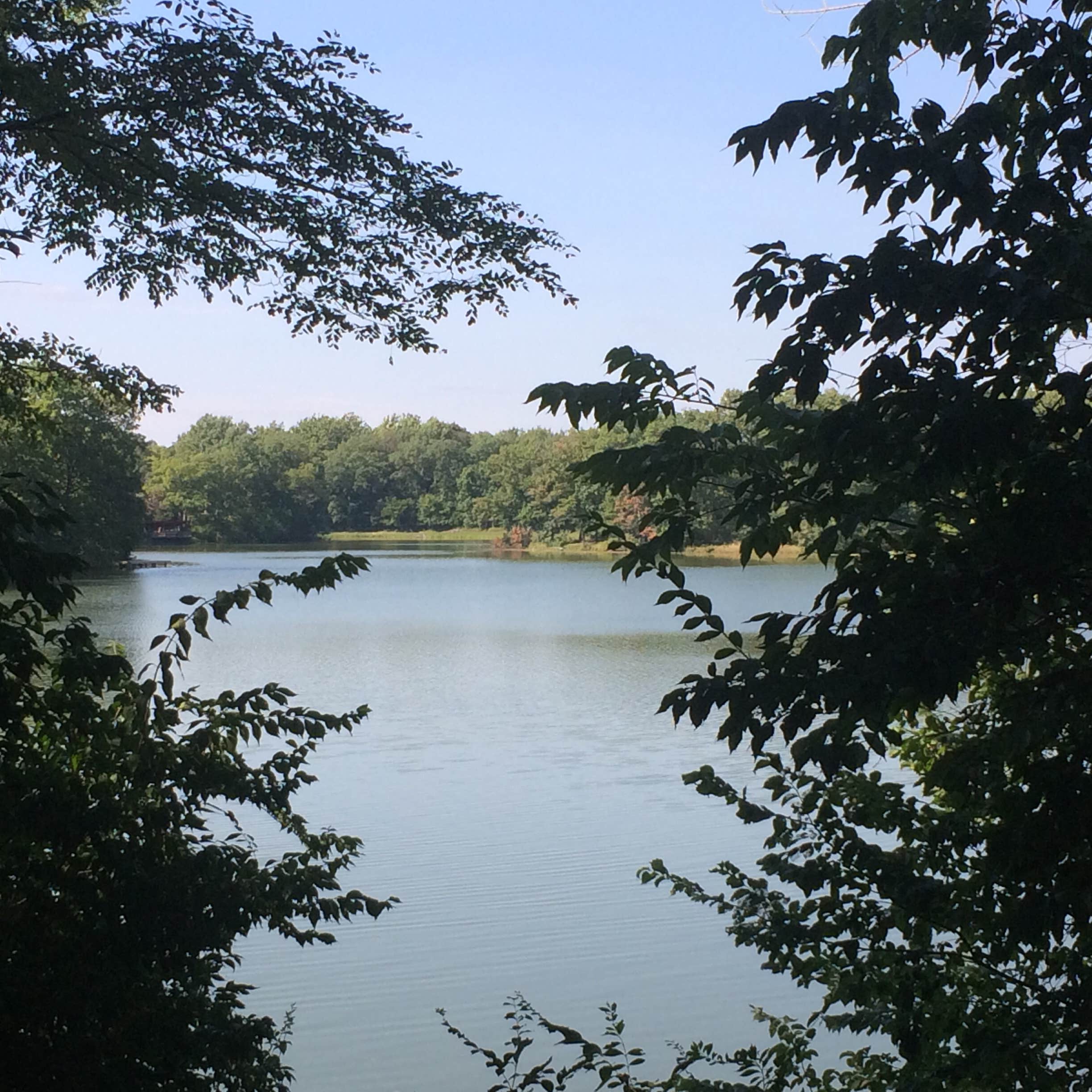 Weldon Springs State Park Campground | Clinton, Illinois