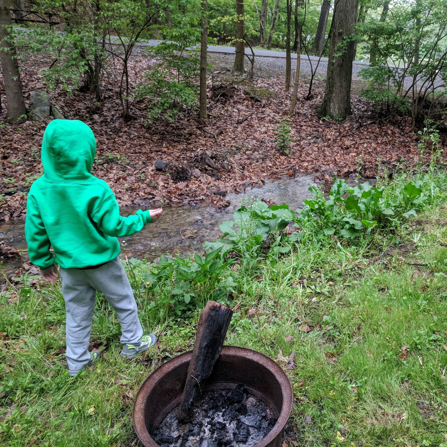 Spring Gulch Resort Campground Camping | The Dyrt