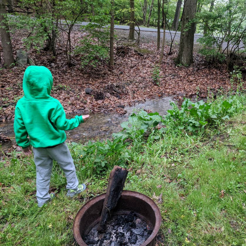 Spring Gulch Resort Campground Camping | The Dyrt