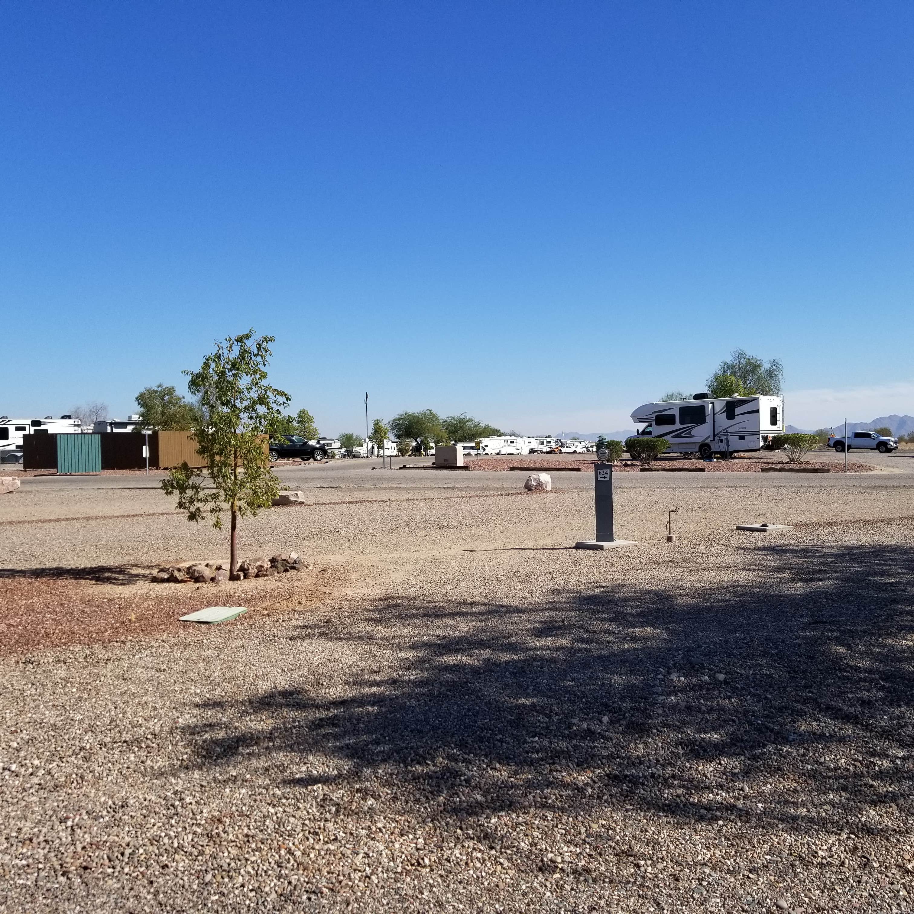 Sonoran Desert RV Park Camping | The Dyrt
