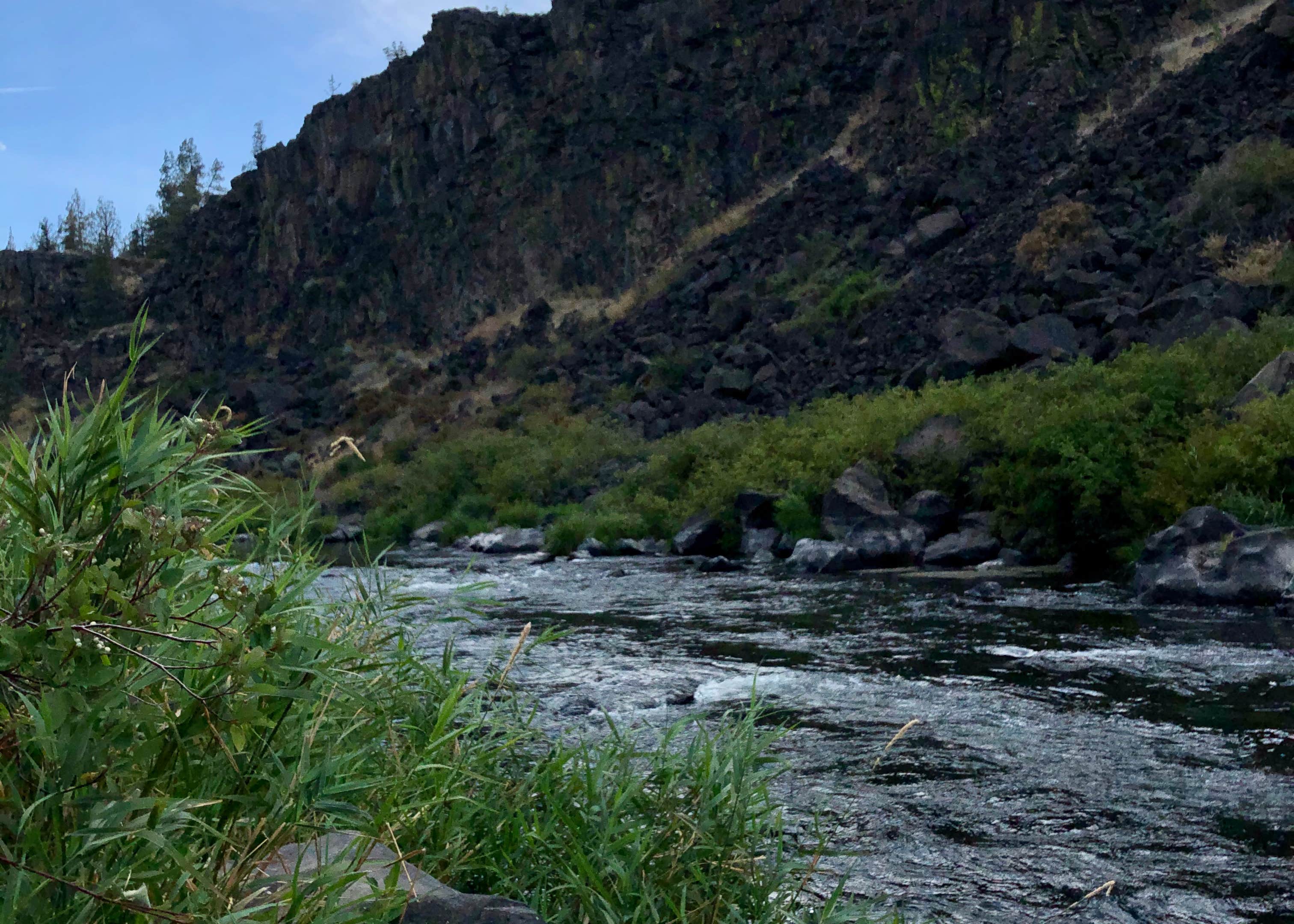 Steelhead Falls Trailhead & Campground Camping | The Dyrt