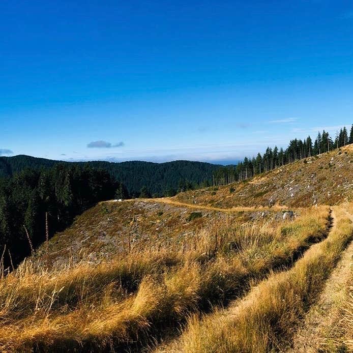 Siuslaw National Forest Dispersed Camping | The Dyrt
