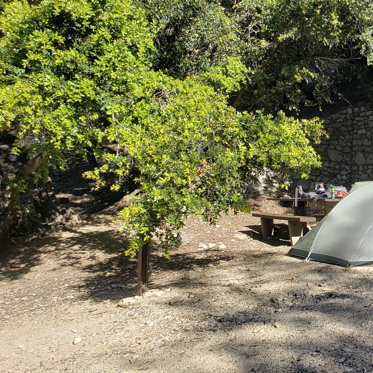Mount Lowe Trail Campground Camping | The Dyrt
