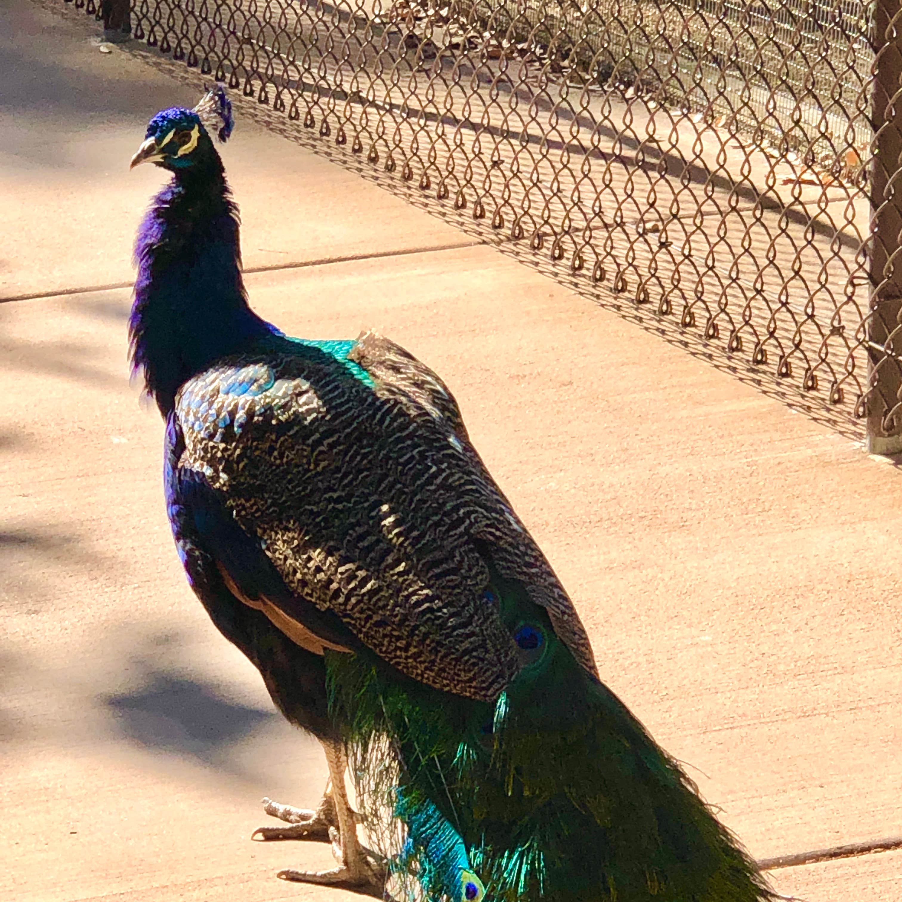 Steckel Park Camping | The Dyrt