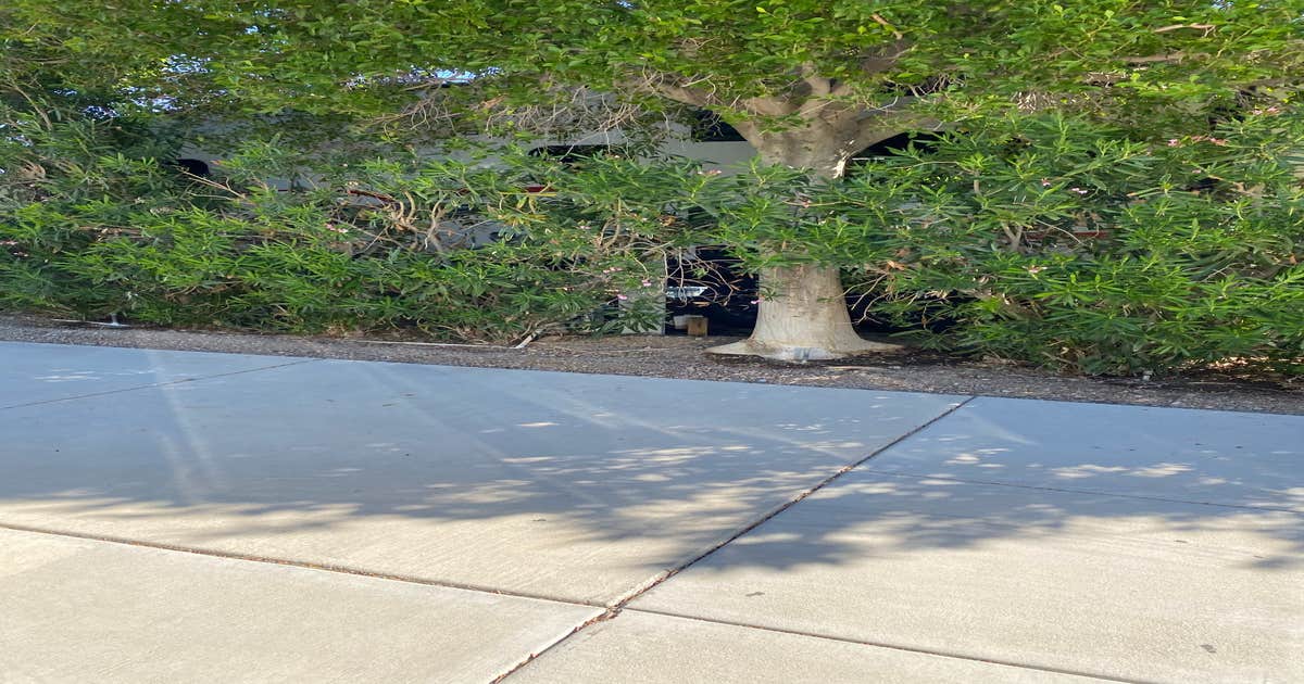 Desert View RV Resort | Needles, CA