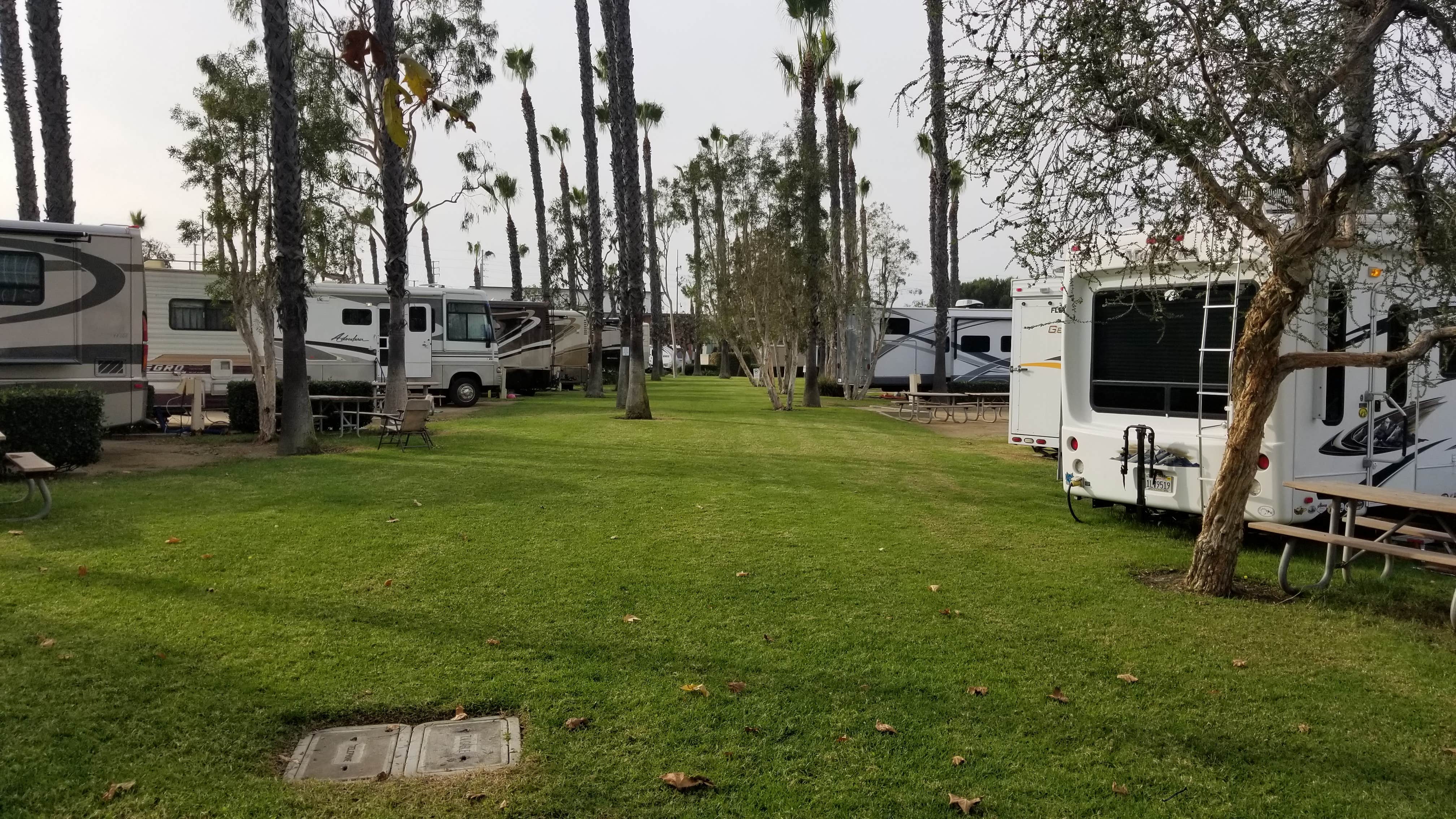Golden Shore RV Resort | The Dyrt
