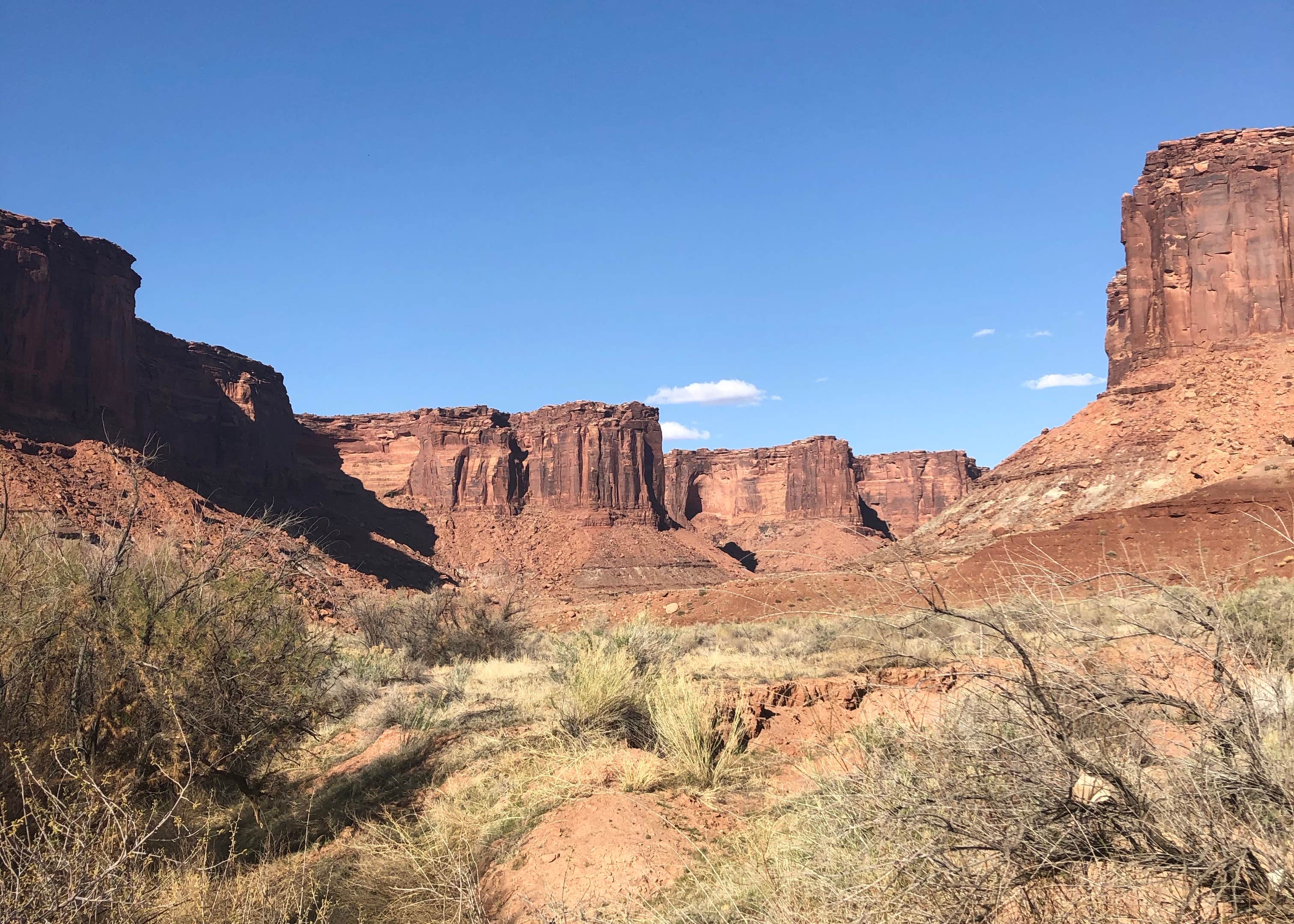 Potato Bottom Campground Camping | The Dyrt