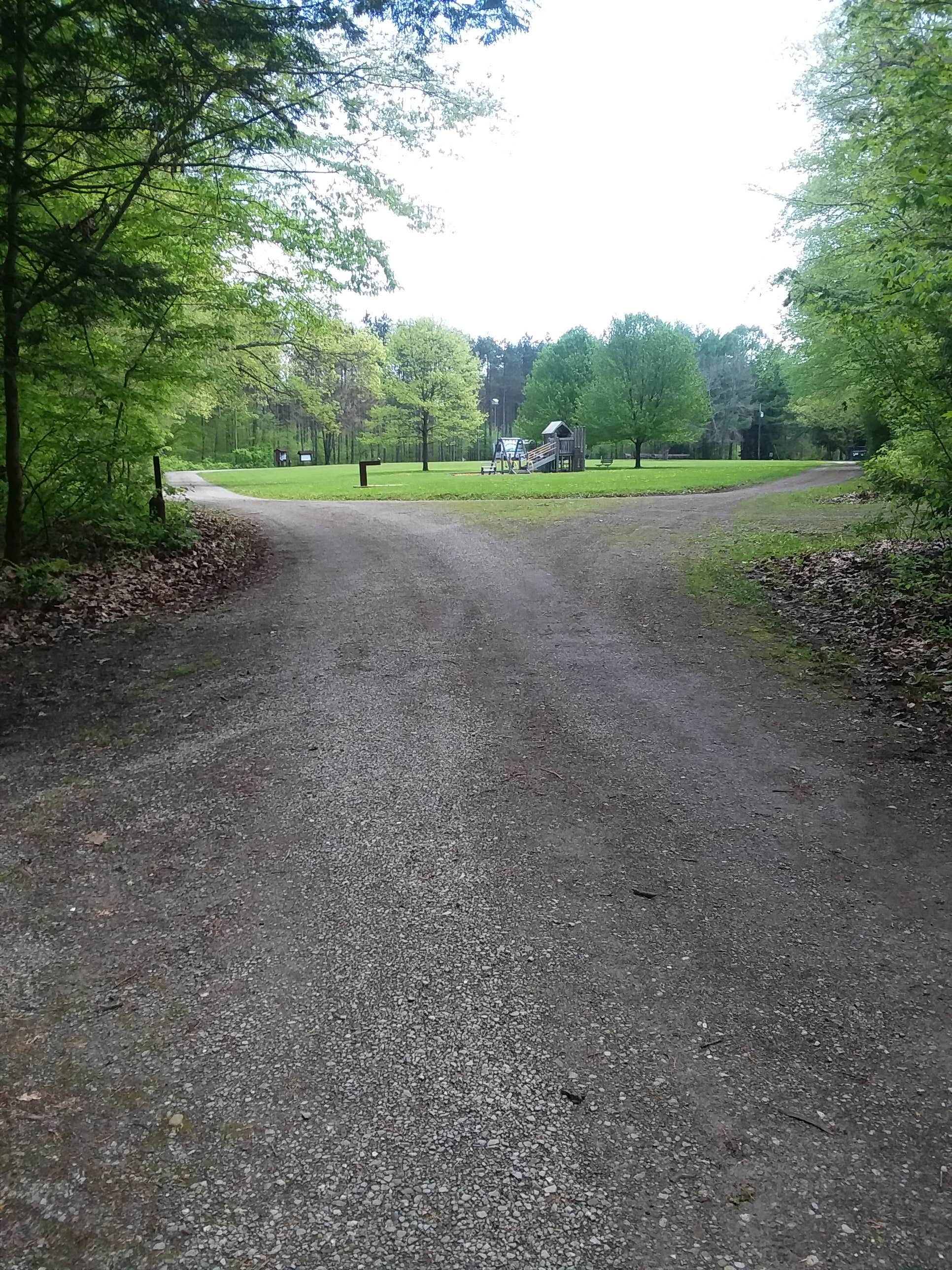 Hearts Content Recreation Area Camping | Warren, PA
