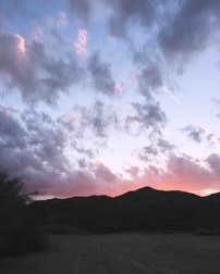 Mittry Lake Wildlife Area | The Dyrt