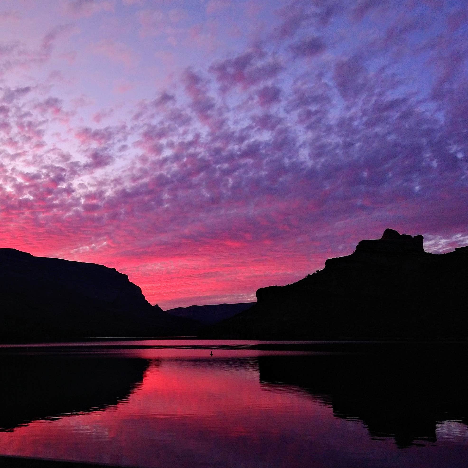 Apache Lake Marina & Resort Camping | Tonto National Forest, Arizona