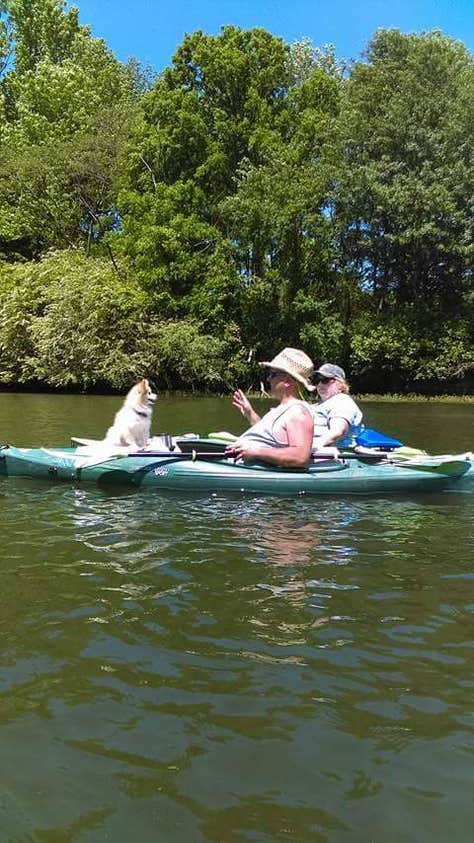 Long Pool Recreation Area Camping | The Dyrt