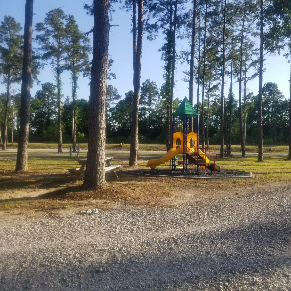 Hidden Pines Campground Camping | The Dyrt