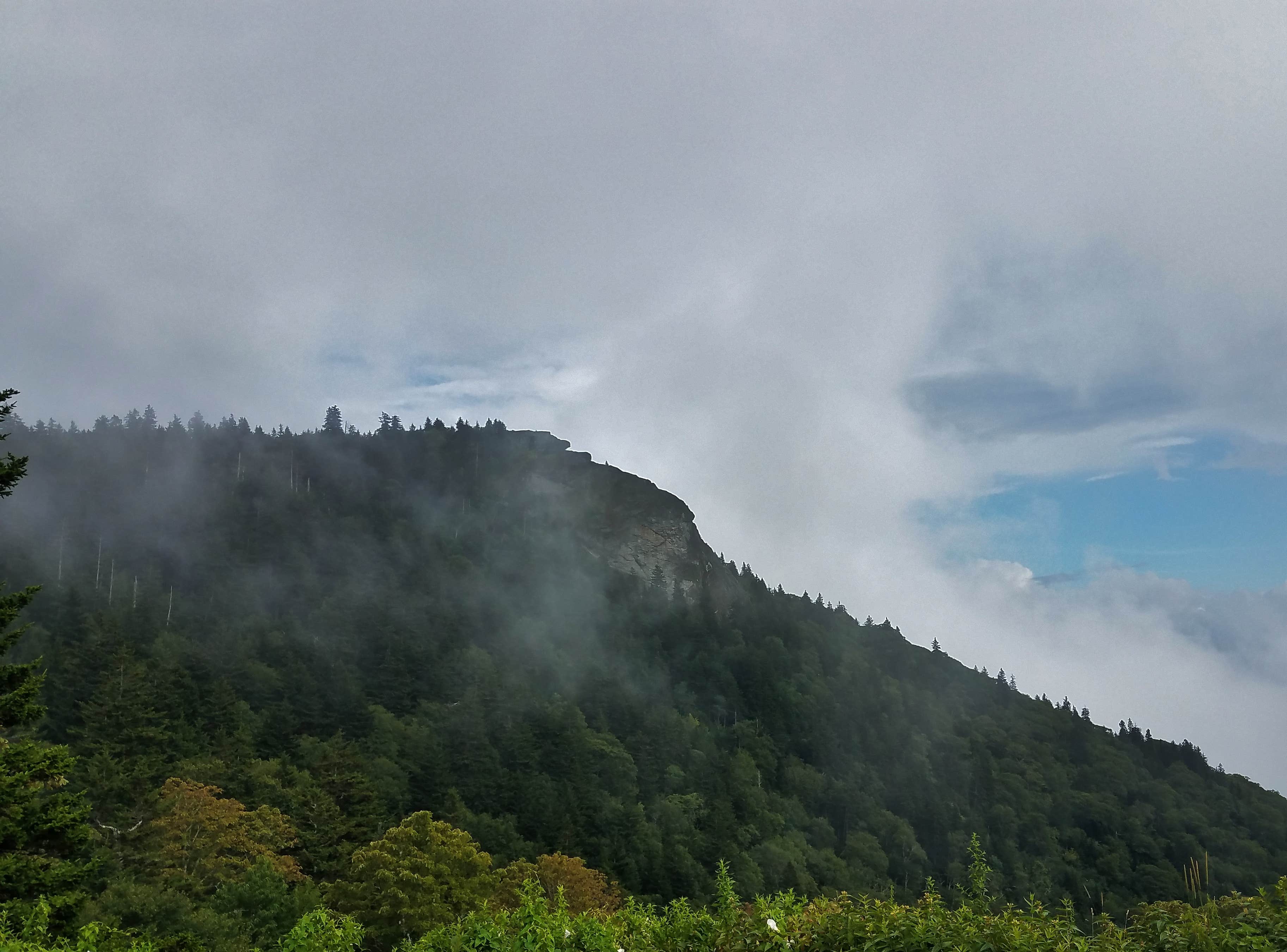 Black Balsam Knob - Dispersed Camping | The Dyrt
