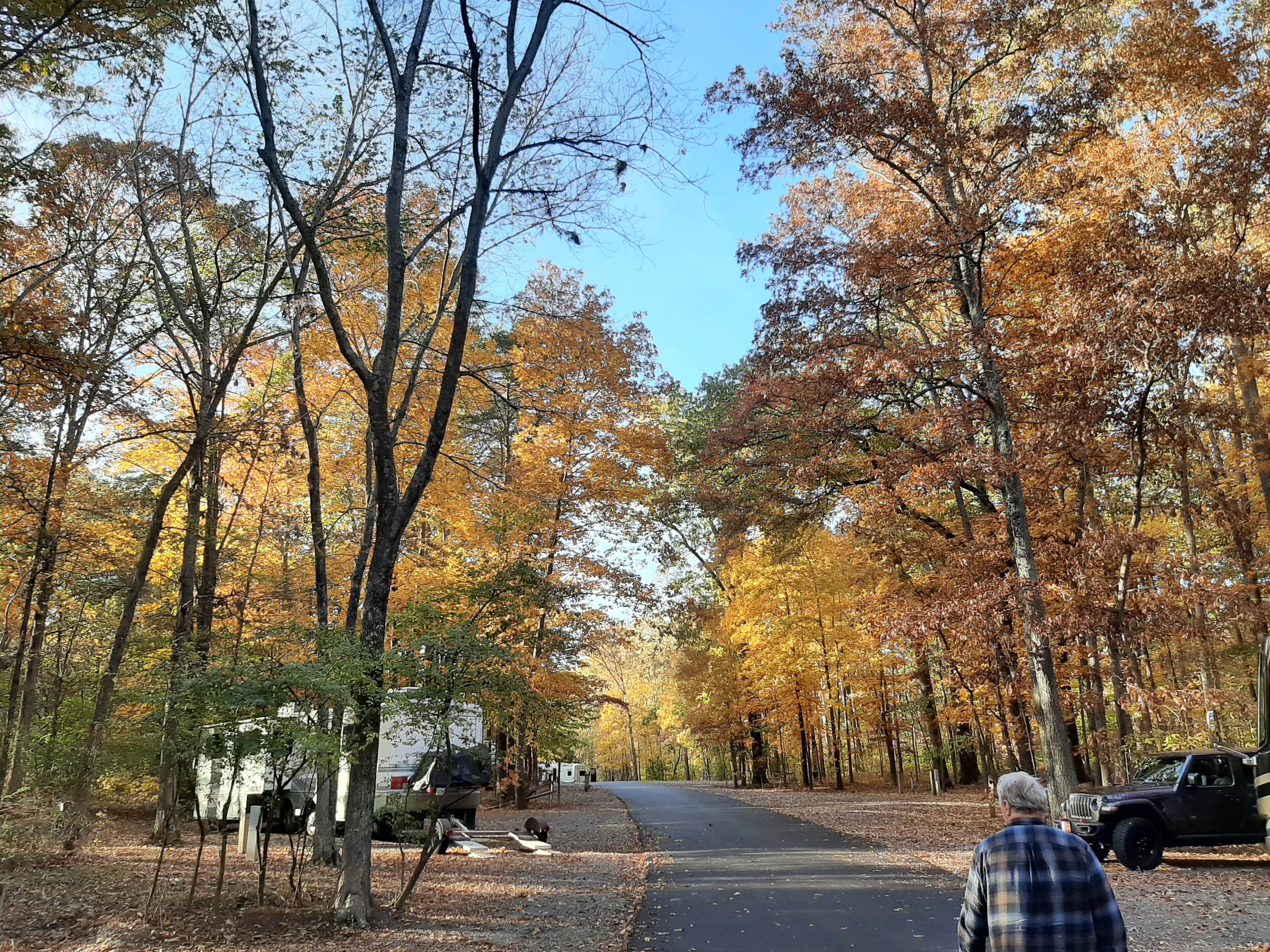 Bull Run Regional Park Camping | Iron Gate, Virginia