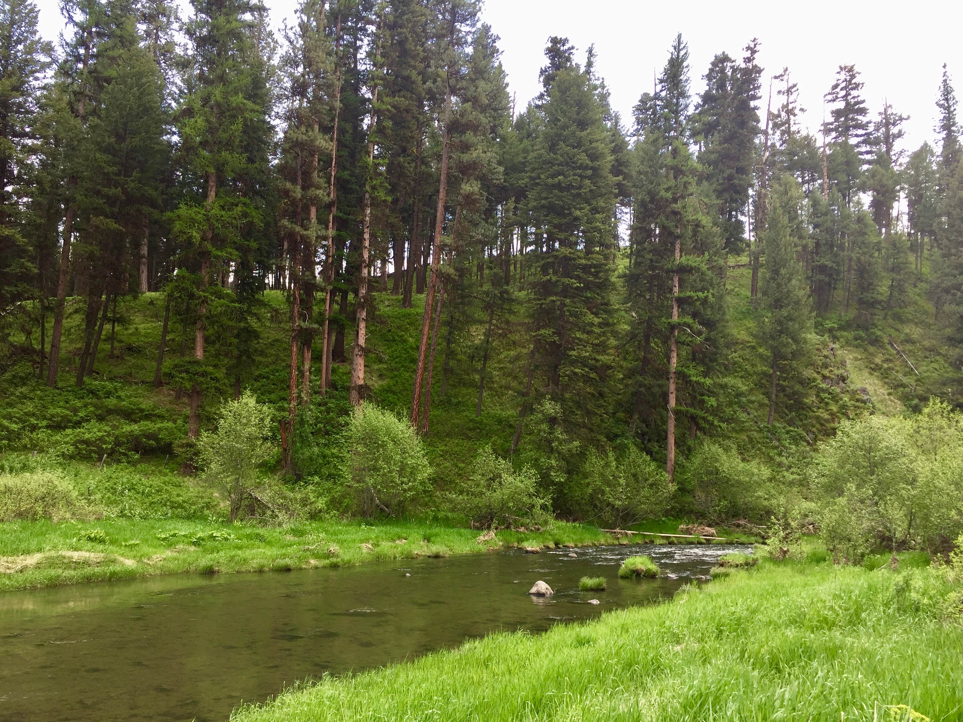 Ukiah-Dale Forest State Park and Campground | Ukiah, OR