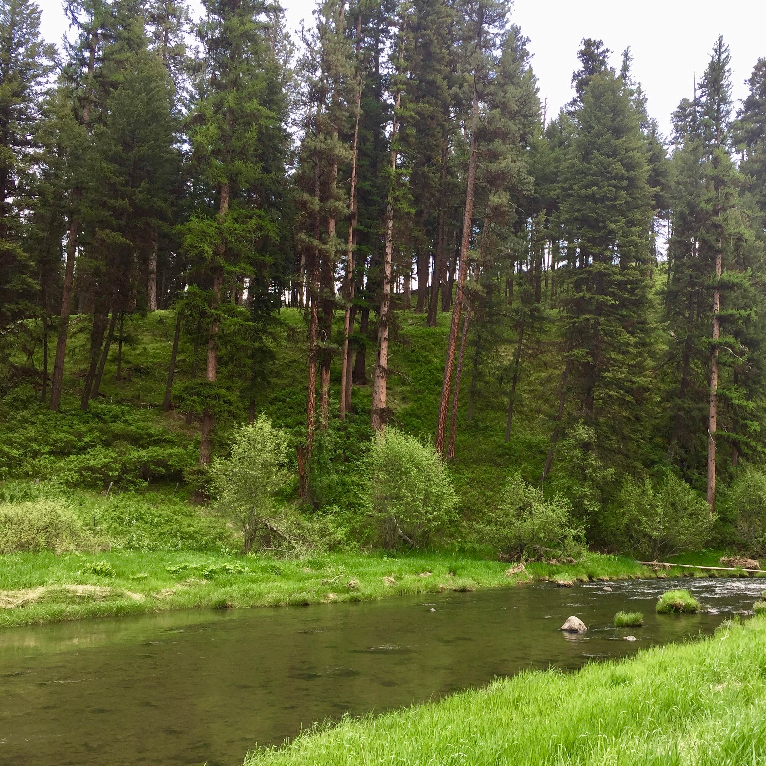 Ukiah-Dale Forest State Park and Campground | Ukiah, Oregon