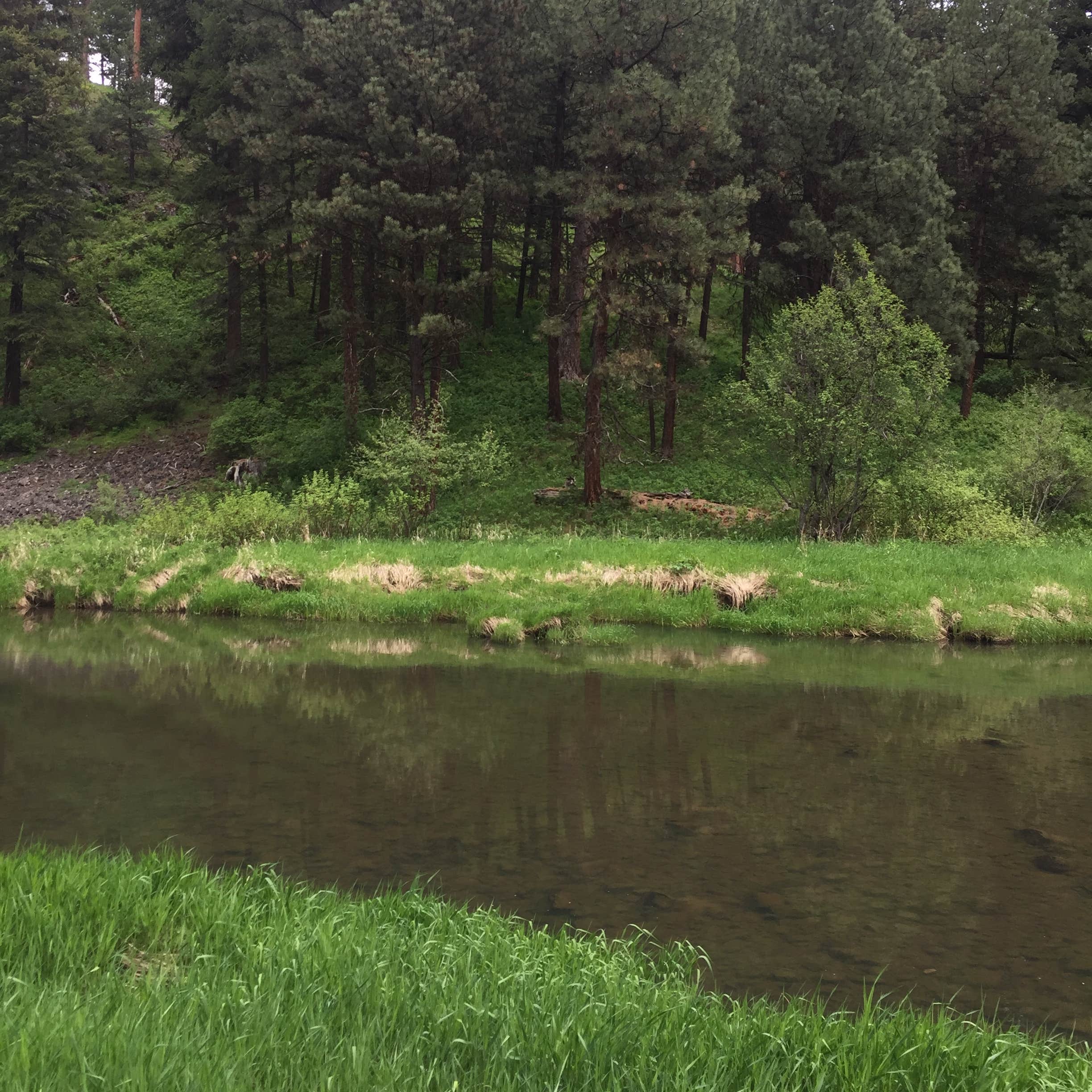 Ukiah-Dale Forest State Park and Campground | Ukiah, Oregon