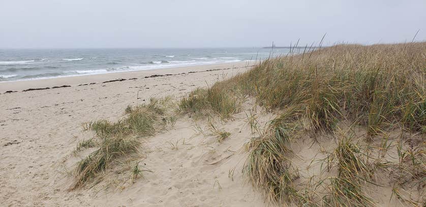 Scusset Beach State Reservation | The Dyrt