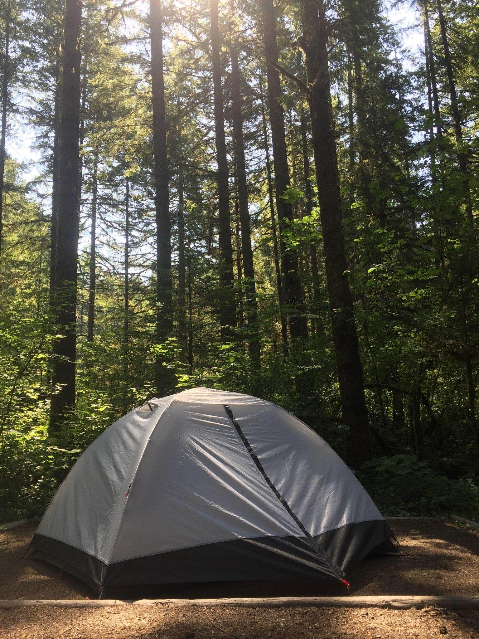 Rujada Campground | Dorena, OR