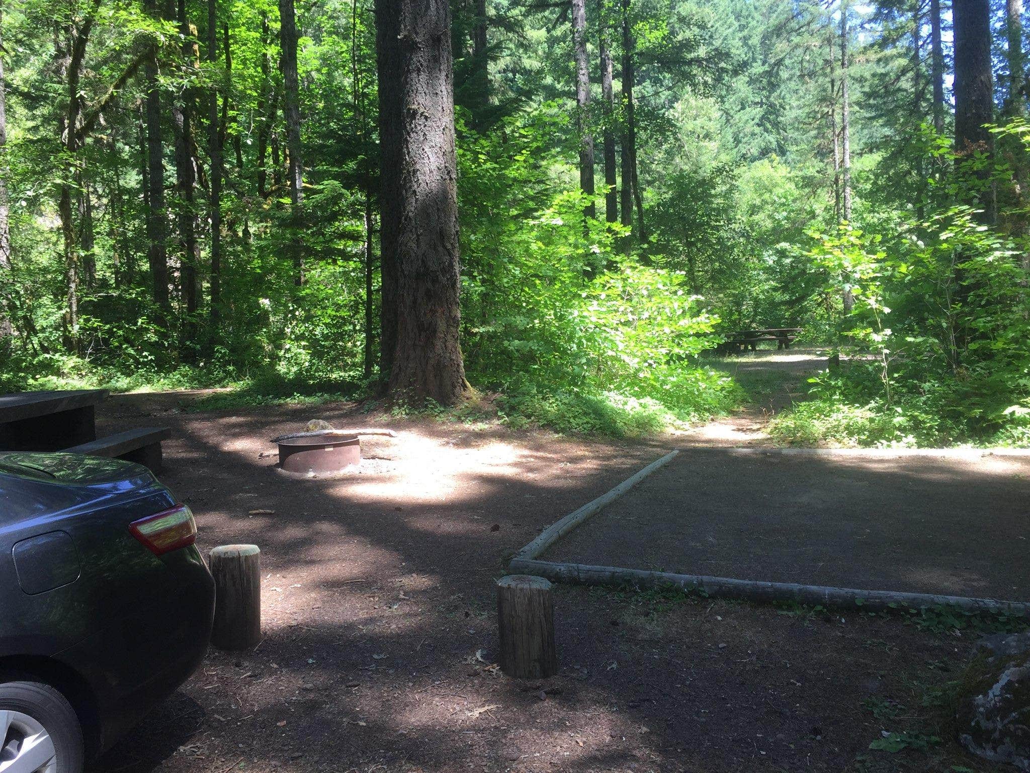Rujada Campground | Dorena, OR