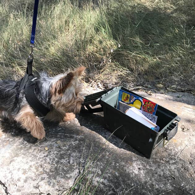 Oberlin-Sappa State Park Camping | McCook, KS