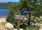 Turquoise Lake Camping | The Dyrt
